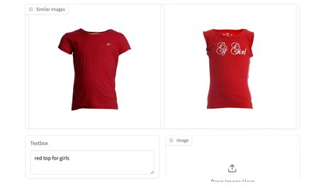 Reverse Image Search System For E Commerce Using Clip Qdrant And