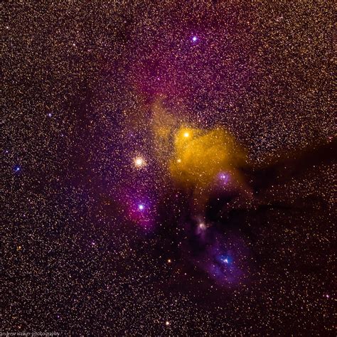 The Antares Region The Supergiant Star Antares And The Rho Flickr