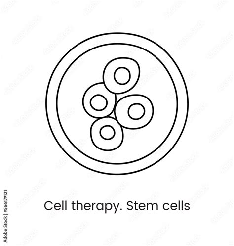 Cell Therapy Icon Line In Vector Medical Illustration Of Stem Cells