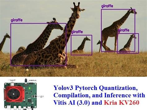 Yolov3 Pytorch Quantization Compilation And Inference