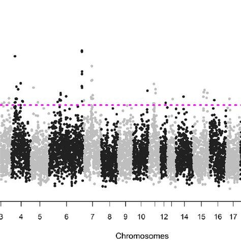 Genome Scan Of Potential Regions Under Selection Detected By The Cross Download Scientific