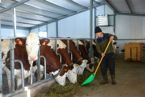 Ерөнхийлөгч сүүний чиглэлийн фермүүдэд ажиллалаа Dobu Mn