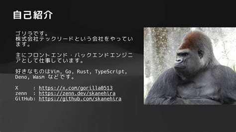 Build Debugger In Rust Pdf Speaker Deck