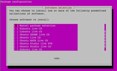 Debian Ubuntu Tasksel Install Group Software Tasks Such As Dns Web Server In A Single