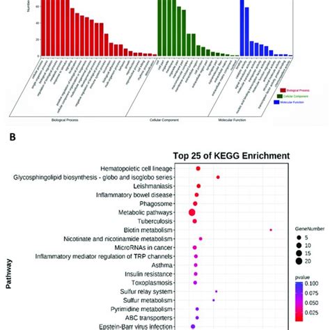 Functional Analysis Of Lncrna Target Genes A Go Enrichment Analysis