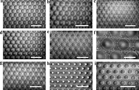 Colloidal Lithography A Versatile Technique For Nanoscale Patterning Colloidal Lithography A Versatile Technique For Nanoscale Patterning