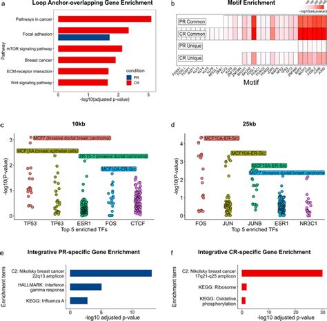 Functions And Transcription Factors Enriched In Condition Specific Loop