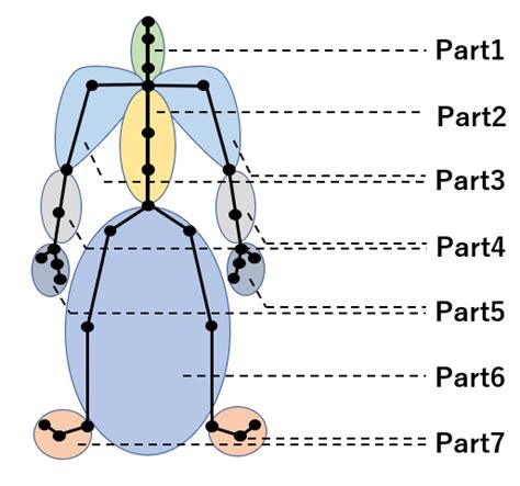 Grouping Of Bones The Skeleton Bones Were Divided Into Seven