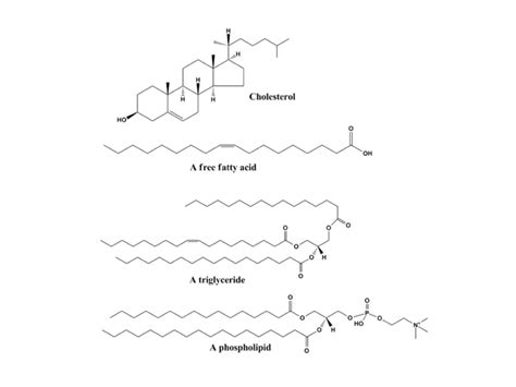 Compound Lipids Ppt