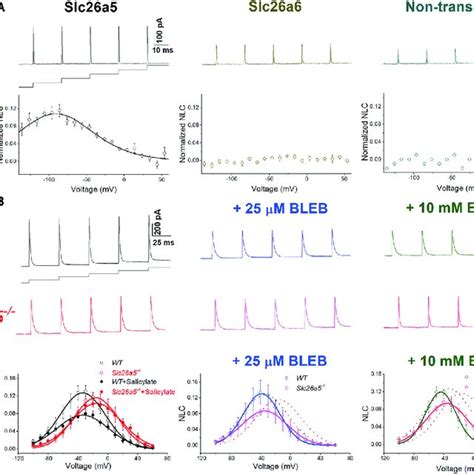 Xiaodong Zhang Professor Tianjin University Tianjin Tju Department Of Physics