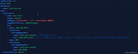 （五）k8s实战 配置管理configmap Replace Csdn博客