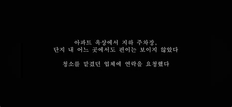 커플유튜버 다나나 고양이 청소업체 부주의로 무지개다리 건넜대 인스티즈 Instiz 이슈 카테고리