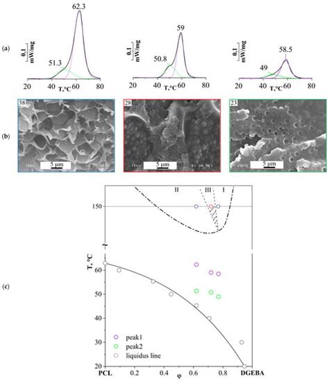 Polymers Special Issue Additive Agents For Polymer Functionalization Modification
