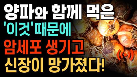 아프기 싫다면 양파는 이렇게 매일 드세요 당뇨 암세포 사라집니다 건강 음식 정보 양파효능 Youtube