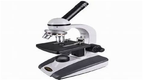Hsn Code 9011 Rm 2a Research Microscopes At ₹ 5000piece Research