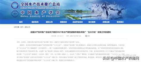 重磅！水产绿色健康养殖技术推广“五大行动”文件印发生态