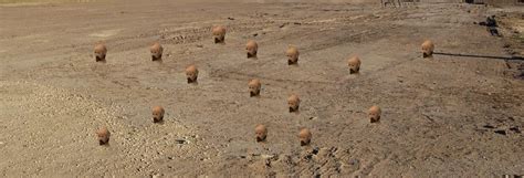 Bot Farming R2007scape