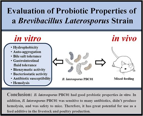 Evaluation Of Probiotic Properties Of A Brevibacillus Laterosporus Strain Cao 2024 The