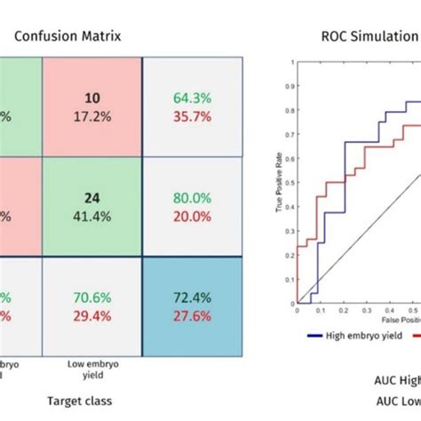 figure confusion matrix and roc curve for architecture e when applying