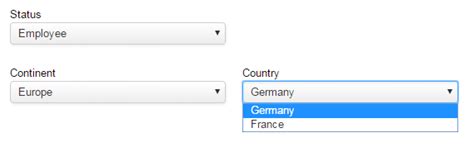 Netsuite Applications Suite Conditional Dropdown Custom Fields