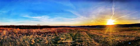 Threatened Trees Threatened Trees