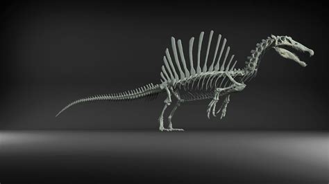 Artstation Dinosaur Spinosaurus Full Skeleton Sculpt Model Game Assets