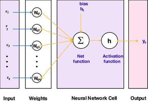 Generic Structure Based On A Single Neuron Download Scientific Diagram