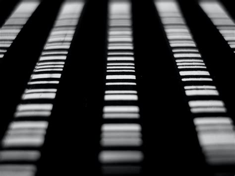 What Are The Advantages Of Dna Barcoding Nanostring