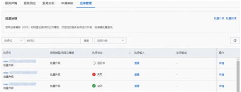 批量升级和回滚服务实例 计算巢服务 阿里云帮助中心