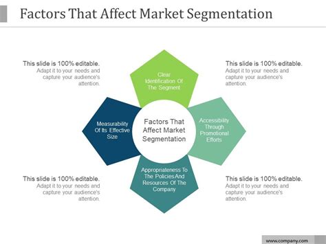 Factors That Affect Market Segmentation Ppt Powerpoint Presentation Good