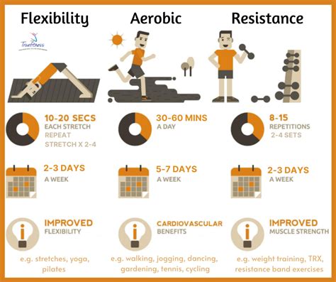 Illustration Of Types Of Exercises Flexibility Aerobic And Strength