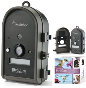 Wingscapes Audubon Birdcam Review And The Birdcam 2 0 Review