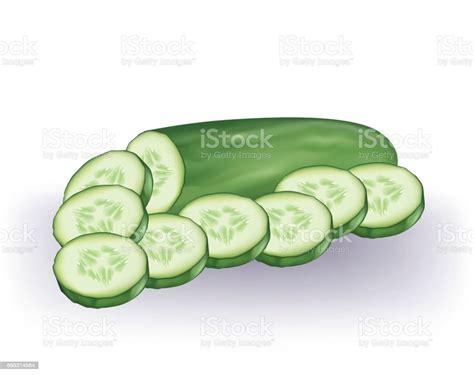 Cucumber And Slices Stock Illustration Download Image Now Cucumber