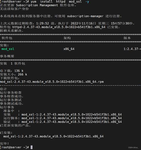 Linux使用域名访问web网站linux Web怎么访问站点 Csdn博客