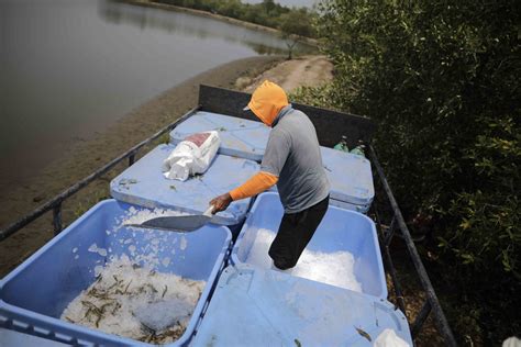 Choluteca La Protesta Que Alarmó Al Gobierno Contra Corriente