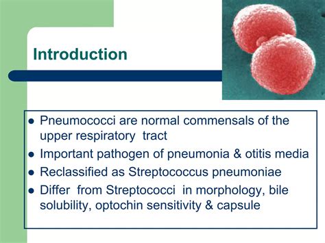 Pneumococcus Ppt