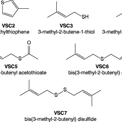 Chemical Structures Of VSCs Identified In Cannabis VSC3VSC7 Each Download Scientific Diagram