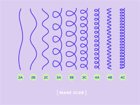 Curl Types How To Accurately Identify Your Curl Pattern