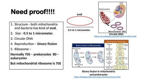 Mitochondrial Dna Inheritance Ppt12pptx