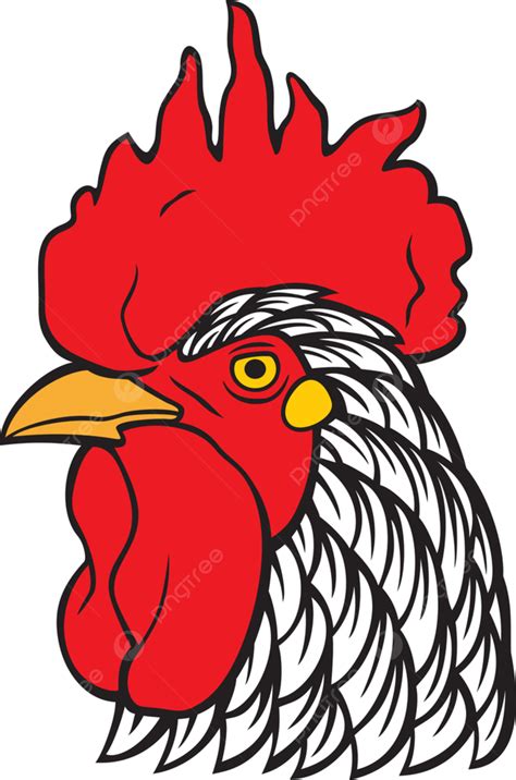 Gambar Ilustrasi Vektor Warna Kepala Ayam Jantan Unggas Kokok Induk