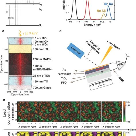Experimental Setup For Nano‐xrf Mapping Of Nanoscale Chemistry And Xbic Download Scientific