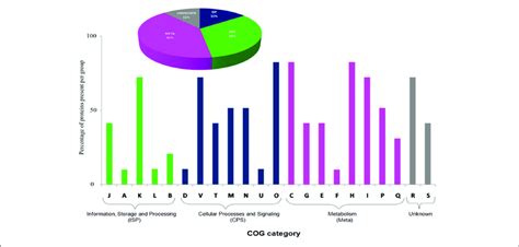 Functional Clusters Of Orthologous Groups Cog Classification Of The