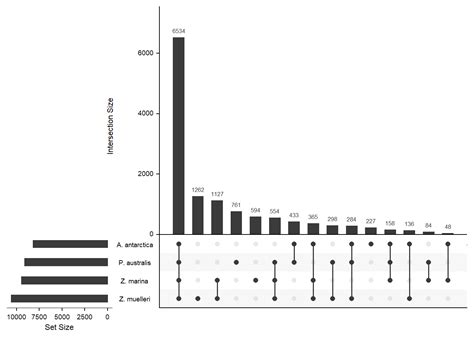 Clusteringorthofinder Analysis