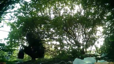 Girl Desperation Pee In Bushes