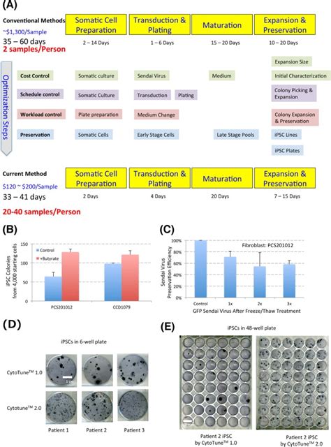 A Cost Effective And Efficient Reprogramming Platform For Large Scale Production Of Integration