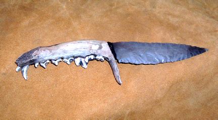 Museum Quality Native American Arrowheads For Sale