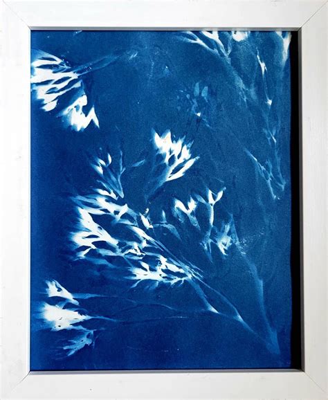 Original Seaweed Cyanotype Movement Etsy