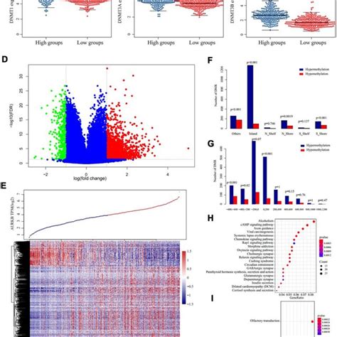 The Expression Of Aurkb In Luad Patients And Its Association With Download Scientific Diagram