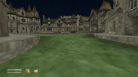 When You Hate Stutter So Much Youre 100 Ok With Your Game Looking Like This R Oblivion