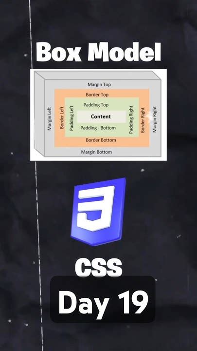 Himsingh Webdesign Apnikaksha Apnacollge Css Webdevelopment Irfanmalik Frontend Youtube